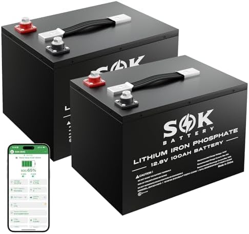 Amazon.com: SOK 2-Pack 12V 100Ah LiFePO4 Deep Cycle Battery, Built-in ...