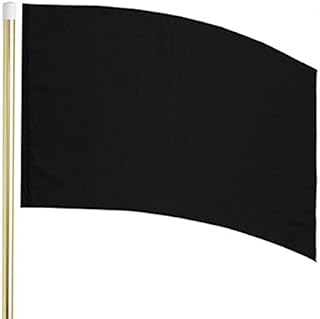 Amazon.com: color guard flag pole