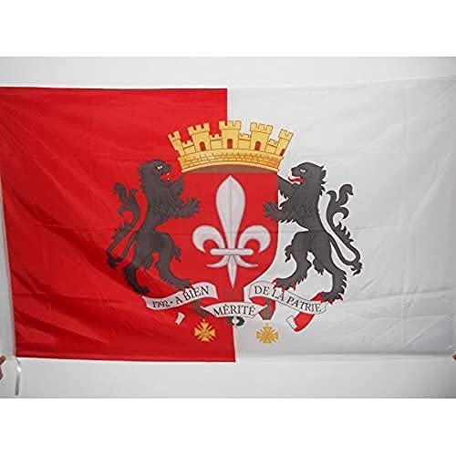 AZ FLAG Lille Coat of Arms Flag 2′ x 3′ for a pole – France – City of ...
