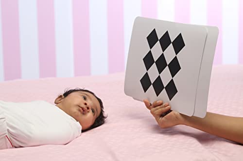 Hungry Brain Early Brain Stimulation Program for 0 to 18 Months Babies ...