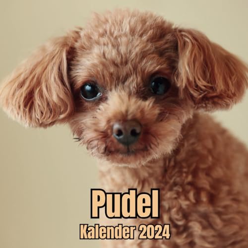 Pudel Kalender 2023 – Die 15 besten Produkte im Vergleich - HundeINFOPortal