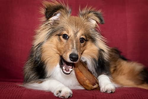 Are Pig Ears Better For A Welsh Sheepdog Than Rawhide Ears