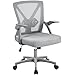 Yaheetech Office Chair Ergonomic Desk Chair Comfy Swivel Computer Chair ...