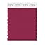 PANTONE Smart 19-2030X Color Swatch Card, Beet Red - House Paint ...