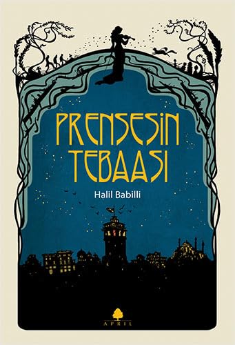 Amazon.com: Prensesin Tebaası: 9786259864327: Halil Babilli: Books