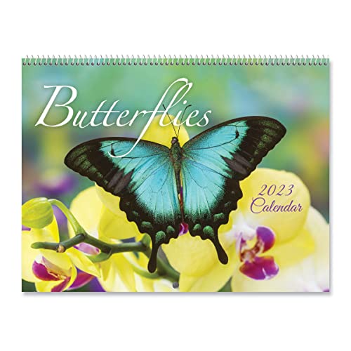 Top 25 Best Butterfly Calendars 2023 - CalendarBuy.com