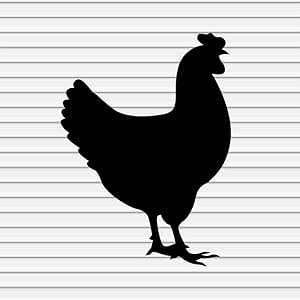 Amazon.com: Chicken Vinyl Decals Stickers for Walls Car Window Laptop ...