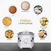Buy V-Guard VRC 1.0 C 1-Litre Electric Rice Cooker Small with 400 W ...
