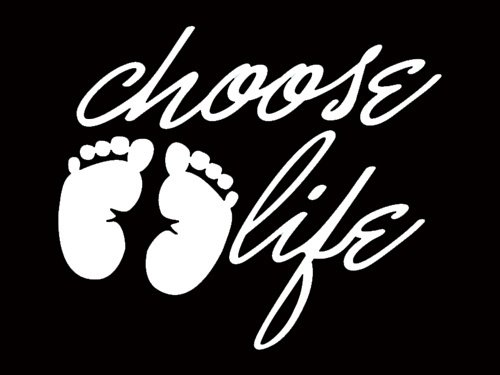 Choose Life Pro Life Decal Vinyl Sticker|Cars Trucks Vans Walls Laptop ...