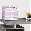 Amazon.com: Letter Tray Paper Organizer 5-Tier Desk Organizer File ...