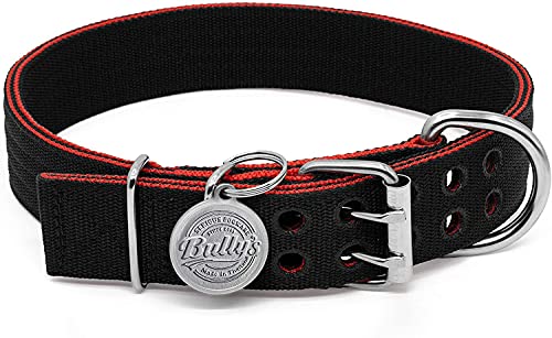 5 Best American Bully Collars