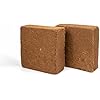 Amazon.com : Best Coco Peat - Premium Coconut Coir Pith 5Kg/11 Lbs ...