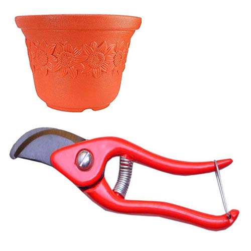 Airex Terracotta Round Plastic (5 Inch) Planter Sunny Pot + Gardening ...