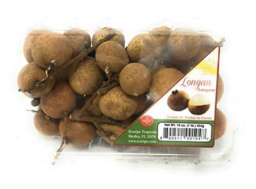Amazon.com: Longan, 16 oz : Grocery & Gourmet Food