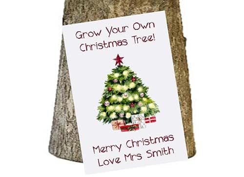 Grow Own Christmas Tree Personalised Pupil End of Term Christmas Gift ...