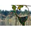 Amazon.com : Cohasset Gift & Garden Dragon Wind Chimes - Dragon Crown ...