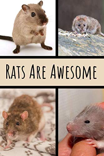 Rats Are Awesome: Useful Notebook For Rat Lovers Or Enthusiasts Of ...