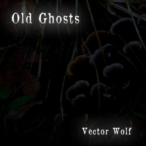 Amazon.co.jp: Old Ghosts : Vector Wolf: Digital Music