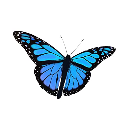 Amazon Music - GLARのไปดูผีเสื้อที่ห้องกันไหม - Amazon.co.jp