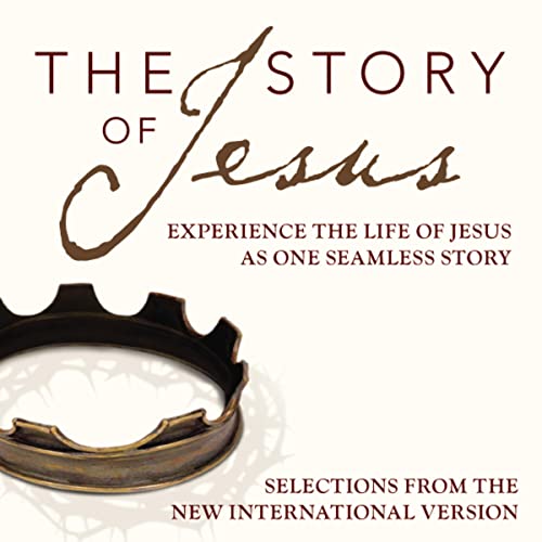Amazon.com: The Story Audio Bible—New International Version, NIV: The ...