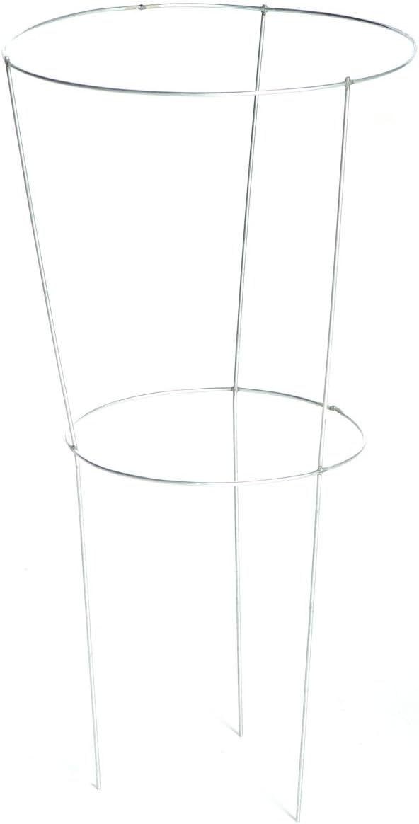 Amazon.com : Glamos 706009 18-Inch by 30-Inch Peony Hoops : Plant ...