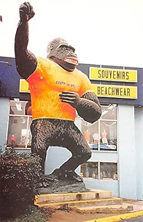 Amazon.com: Bozo The Gorilla South of the Border Monkey Postcard