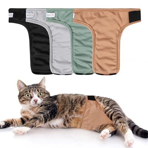Cat Diaper – The 15 best products compared - Wild Explained