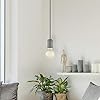 Globe Electric 60W Vintage Edison G30 Vanity Tungsten Incandescent ...