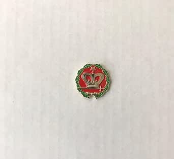 Amazon.com: 1" Amaranth Lapel Pin: Novelty Buttons And Pins: Clothing ...