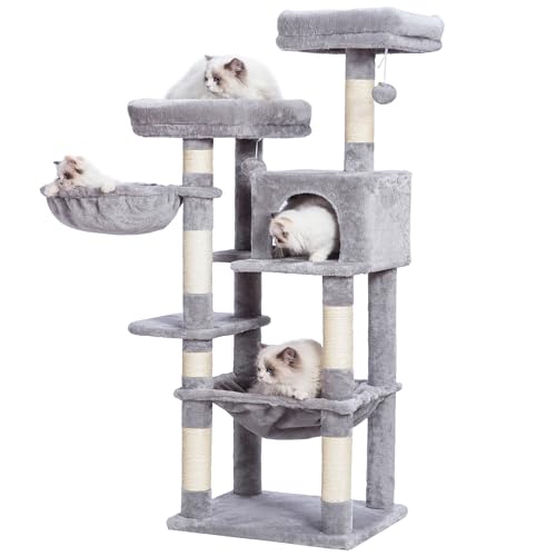 Cat Trees – The 15 best products compared - Wild Explained