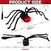 Amazon.com: [Up and Down Automatically & Sound Activated ] 24 ...
