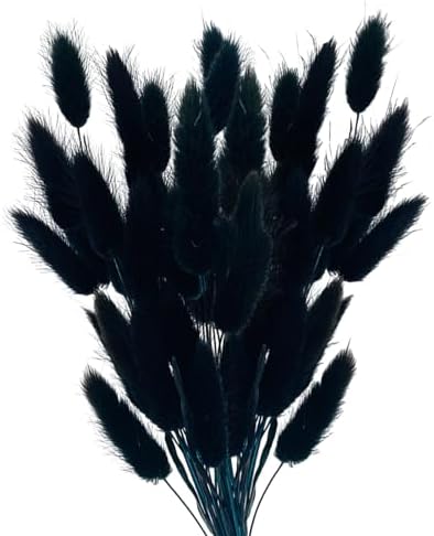 Vellivar Black Bunny Tails Pampas Grass Home Decor Dried Grasses for ...