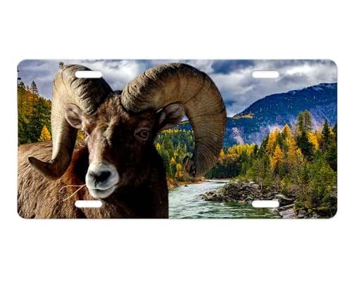 Amazon.com: Hunting Wildlife Vanity Decorative Aluminum Front License ...