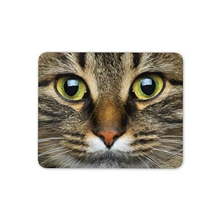 Adorable Kitten Mouse Mat Pad - Cat Cats Cute Mum Sister PC Computer ...