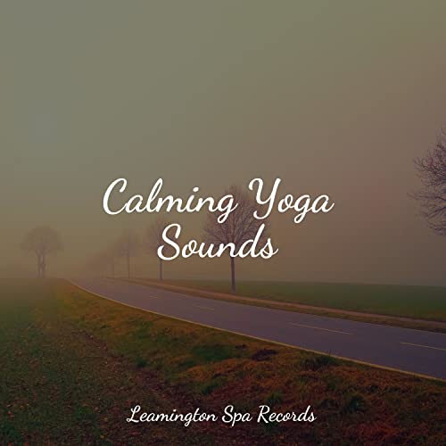 Calming Yoga Sounds de Relaxing Nature Ambience, Tailormade Ocean Waves ...