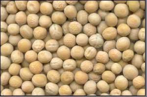 Amazon.com : Spicy World Yellow Peas Whole (Vatana) 4 Pounds : Yellow ...