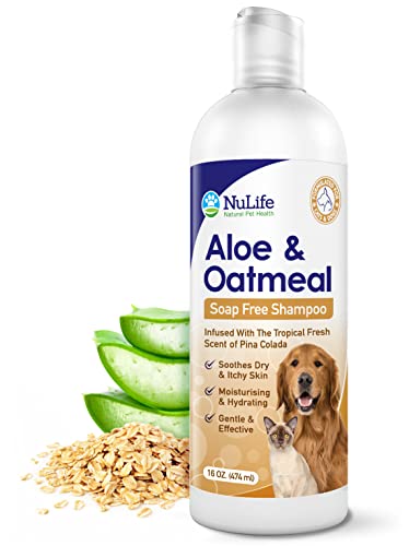 5 Best Oatmeal And Aloe Dog Shampoos (2023) - Oodle Life