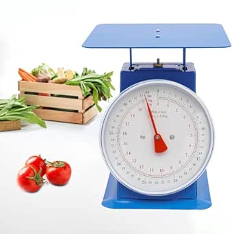 Amazon.com: 44 lbs Mechanical Dial Scale, Stainless Steel Mechanical ...