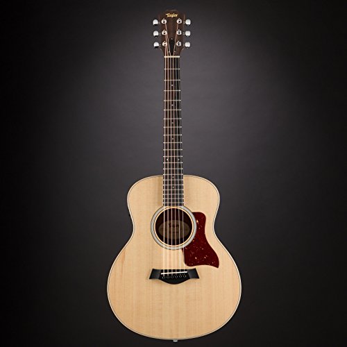 Taylor GS Mini vs GS Mini Mahogany Review (Updated 2022)