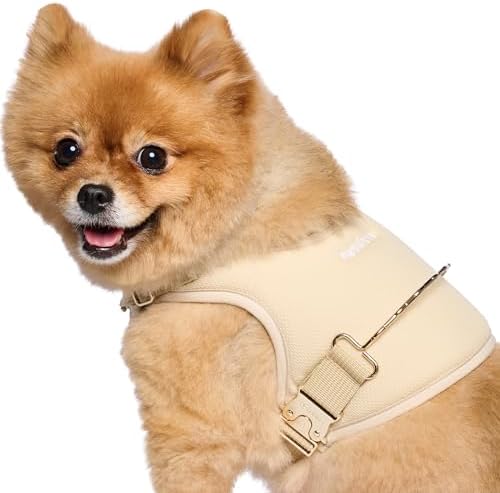 Amazon.com : PETCIOUS small dog lift durable harness 5-15lbs 5lb-7 3 ...