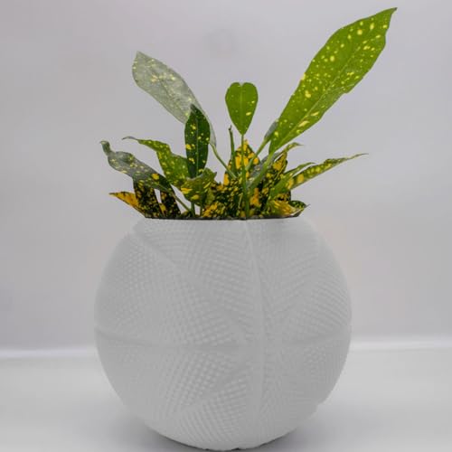 Amazon.com: New Basketball Planter Pot 3D Printed - Plant Pot for ...