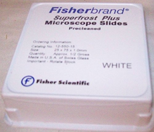 Fisherbrand Superfrost Plus Microscope Slides; White; 75 x 25mm: Amazon ...