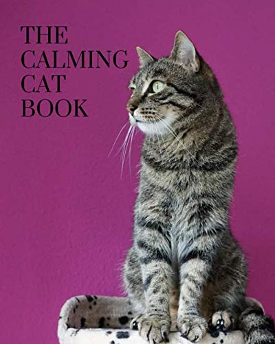 The Calming Cat Book: A colorful book for seniors with alzheimers or ...