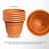 MILTON Blossom Mate 2 Round Planter, 1 Piece, Terracotta Brown, Indoor ...