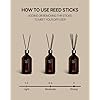 Amazon.com: HETRAS. Premium Reed Diffuser: Set of 2 x 16.9oz (1,000 ml ...