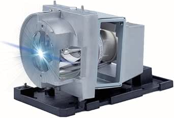 Amazon.com: AWO 1026952 Premium Replacement Lamp with Housing Fit for ...