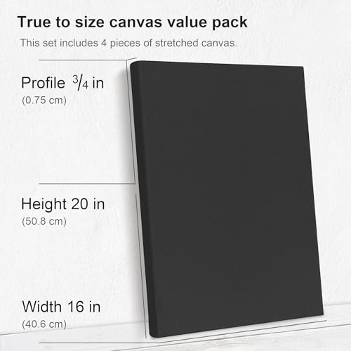Snapklik.com : Black Stretched Canvas, 16x20 Inch/4 Pack - 3/4 Inch ...