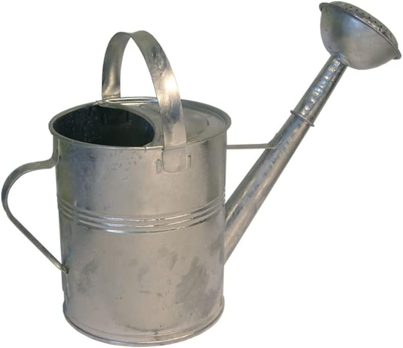 Regadera de zinc – 5 litros – Jardín Regadera de metal para flores para ...