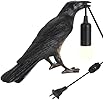 OVANUS Crow Lamp - Raven Lamp Adjustable Brightness with Bulb，Bird lamp ...
