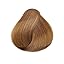 L'OREAL TECHNIQUE Sandstone Blonde Permanent Hair Color